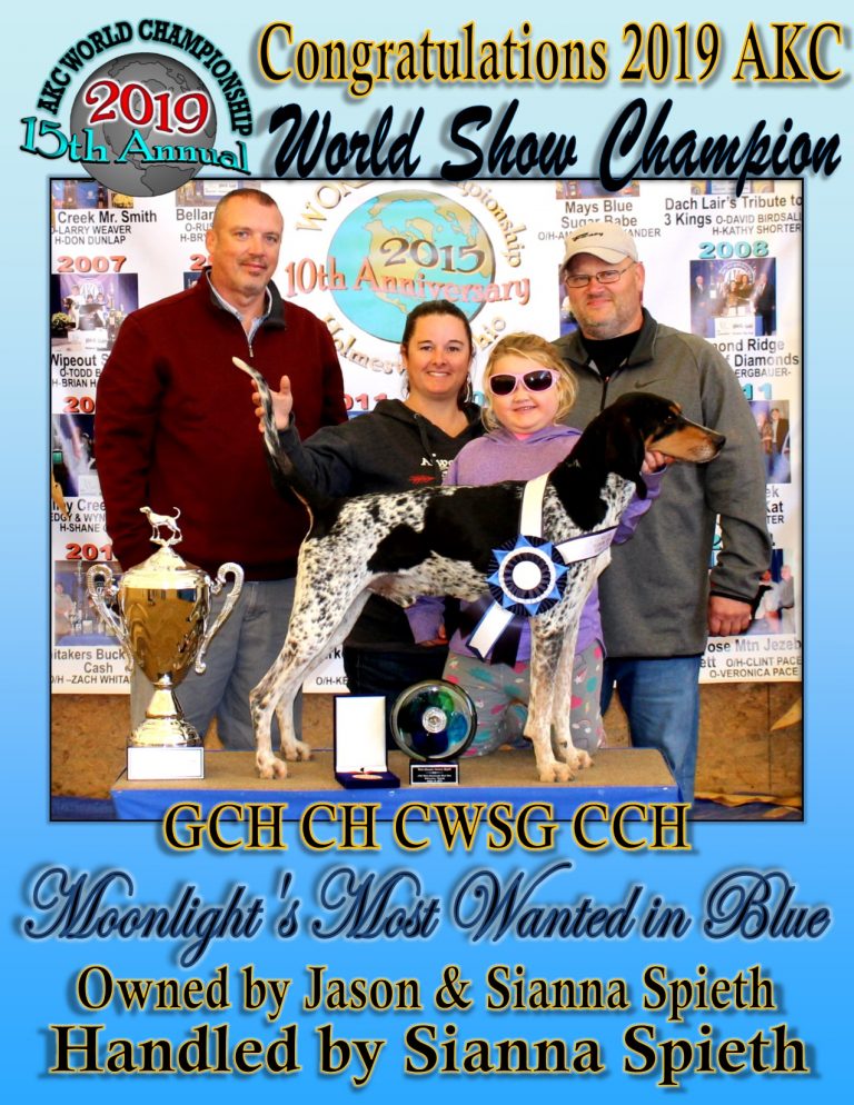 2019 WORLD SHOW CHAMPION 2019-world-show-champion